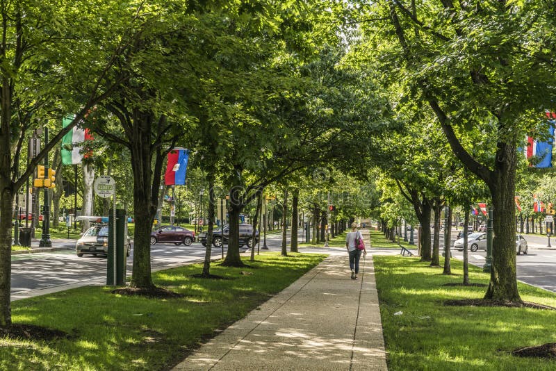 Walking in the Path of Flags Stock Image - Image of green, countries ...