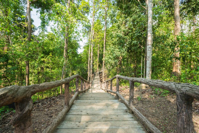 Walking Bridge in the Garden Forest Park. Stock Image - Image of bridge ...