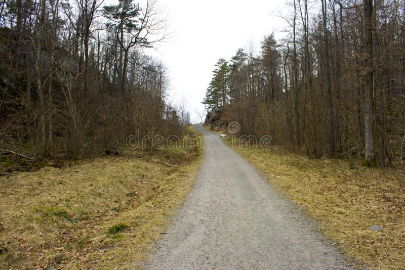 Walking Path through a Forest in Southern Norway. Stock Photo - Image ...
