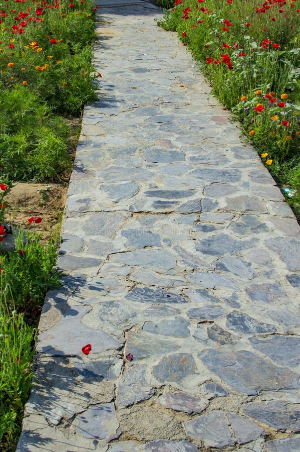 Walking Path in Garden for Morning Walk Stock Photo - Image of ...