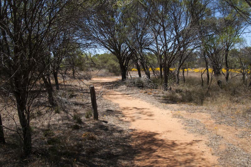 Walking Path on the Gnamma Trail Stock Photo - Image of blue, green ...