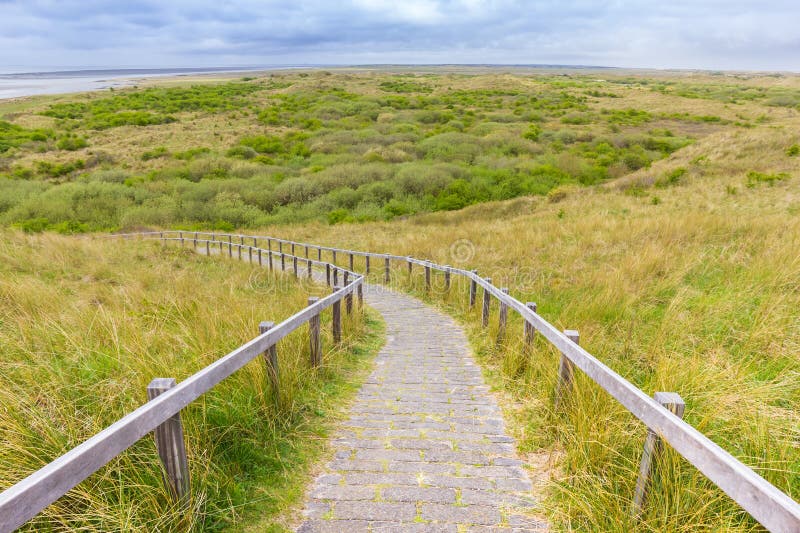 Walking Path Going Up To the Highest Dune of Ameland Editorial Image ...