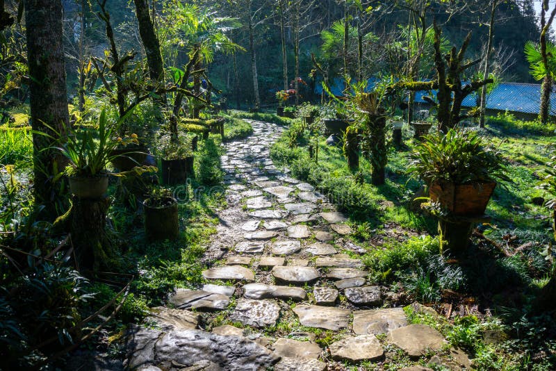 Walking Path in the Green Garden or Forest Stock Photo - Image of green ...