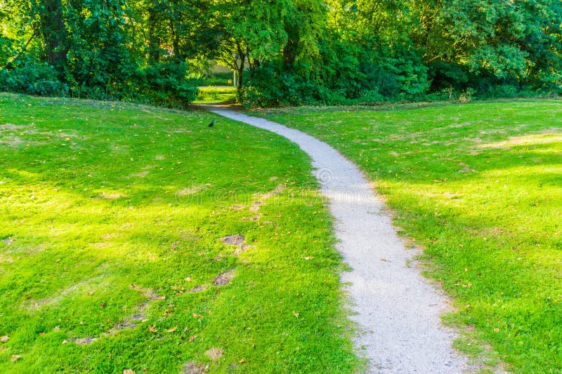 Walking Path with Grass and Trees Park Landscape Stock Photo - Image of ...