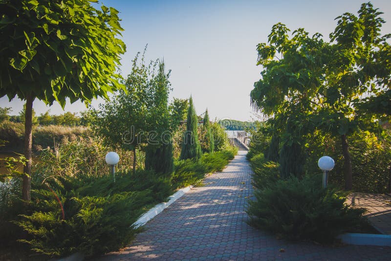 Walking Path in a Green Park. Green Park with Blooming Flowers, Green ...