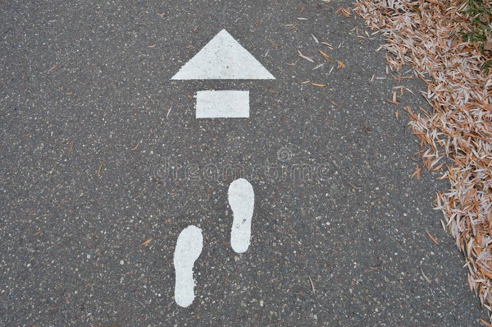 Walking Path stock photo. Image of travel, footprints - 64052074