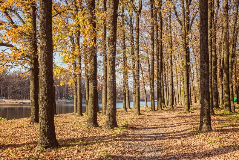 Walking Path in the Lake Side, Autumn Stock Image - Image of park ...