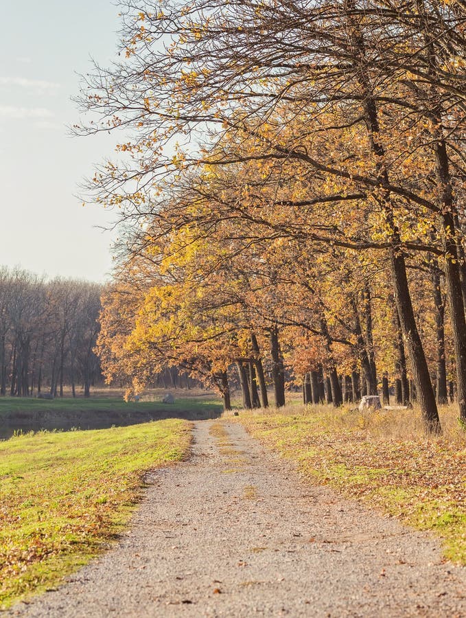 Walking Path in the Lake Side, Autumn Stock Image - Image of leaf ...