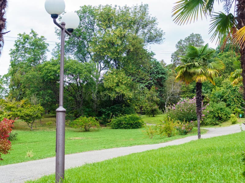 Walking Path in Large Park with Palm Trees Stock Photo - Image of green ...