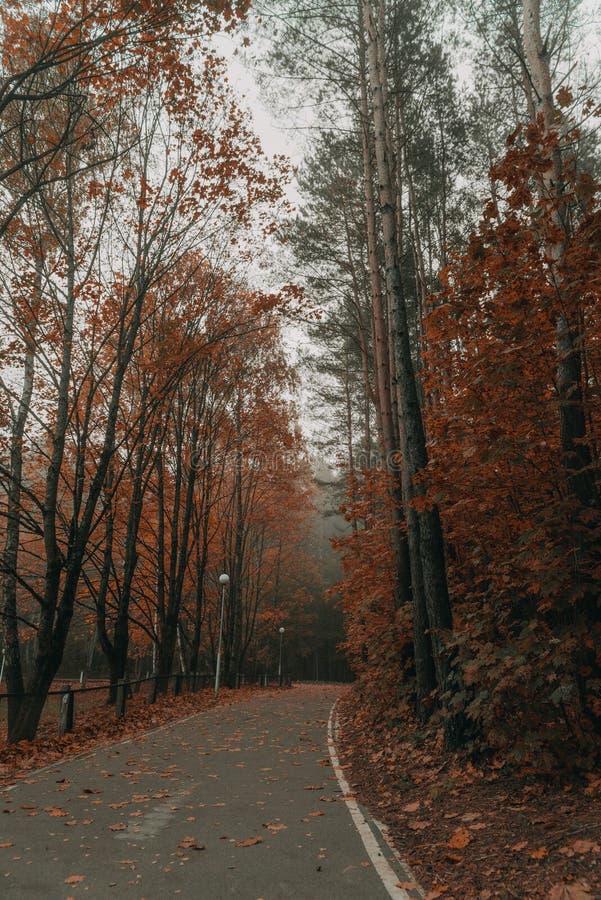 A Walking Path Leading into the Distance in an Autumn Stock Image ...