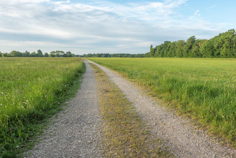 Walking Path in the Middle of Green Meadows Stock Photo - Image of path ...