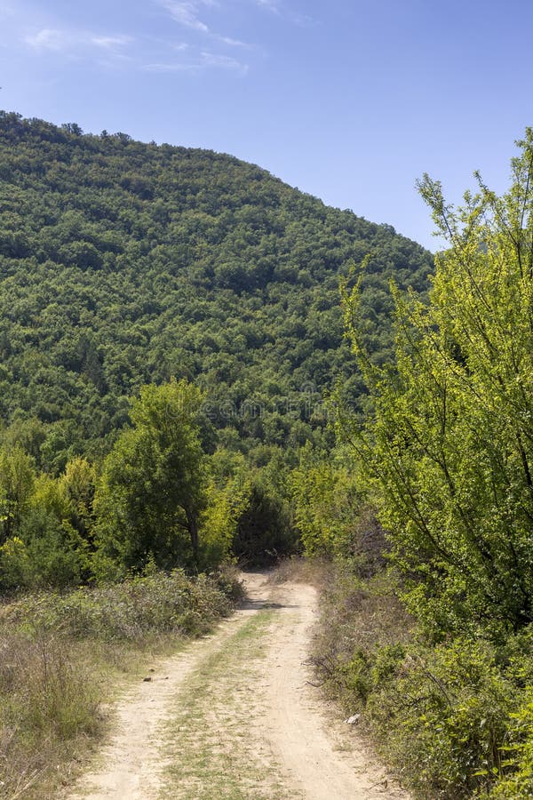 Walking Path in the Mountains Forest Central Macedonia, Greece Stock ...