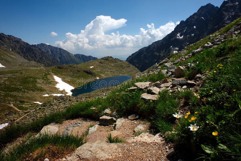 Walking Path in Mountains with Lake and Flowers Stock Image - Image of ...