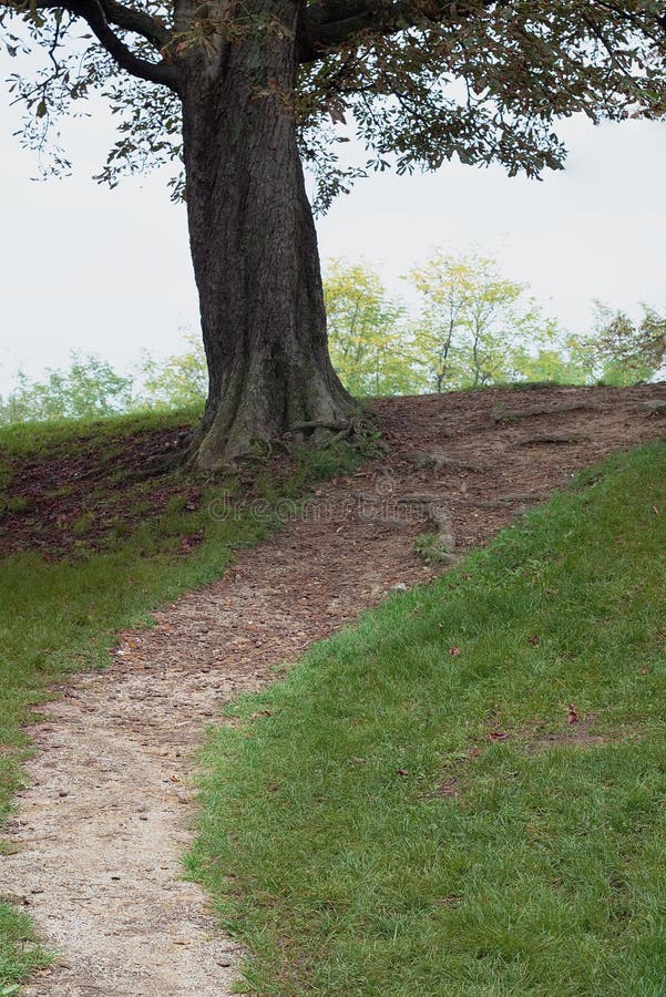 Walking path in nature stock photo. Image of beautiful - 114369580