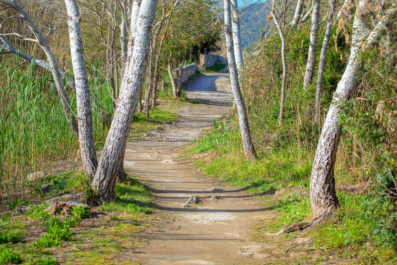 Natural walking path stock photo. Image of blue, countryside - 183412660