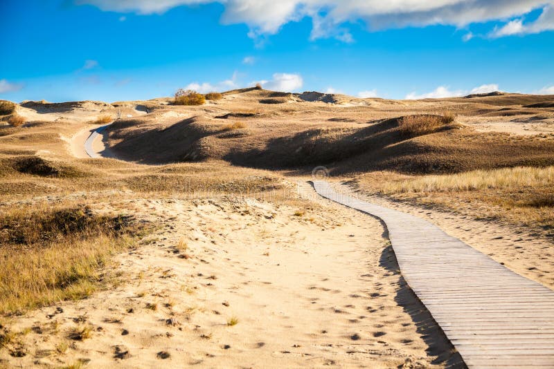 Walking Path in the Grey Dunes Stock Image - Image of purity, lithuania ...