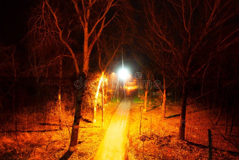 Path at night stock photo. Image of night, october, figure - 22012898