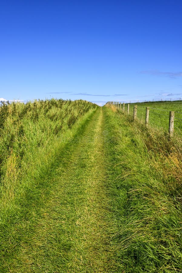 Walking Path in Northern Ireland Stock Image - Image of travel ...