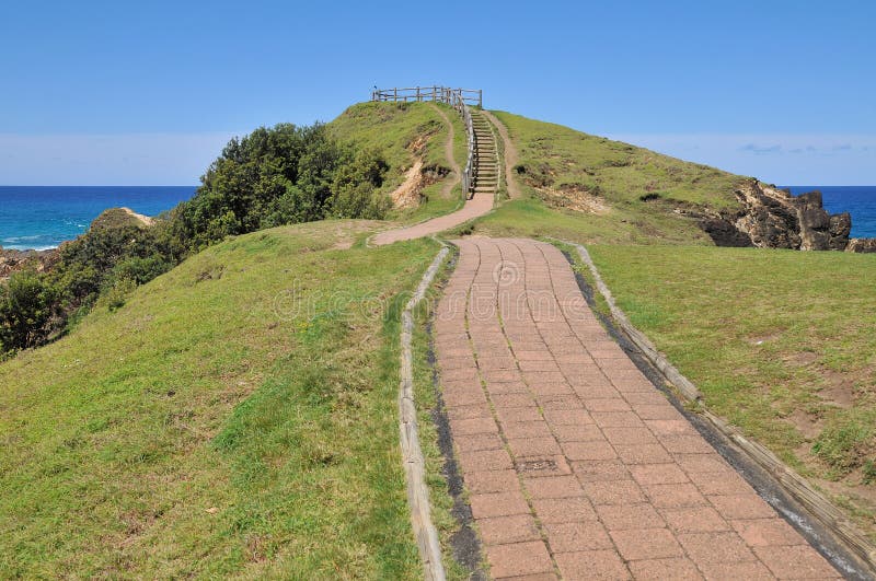 Path to the ocean stock photo. Image of cape, fynbos - 71123724
