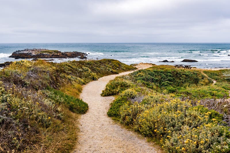 Walking Path on the Pacific Ocean Coastline, Pescadero State Beach ...