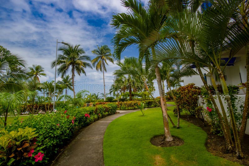 Walking Path with Palm Trees, Inside of a Luxury Hotel in Same, Ecuador ...
