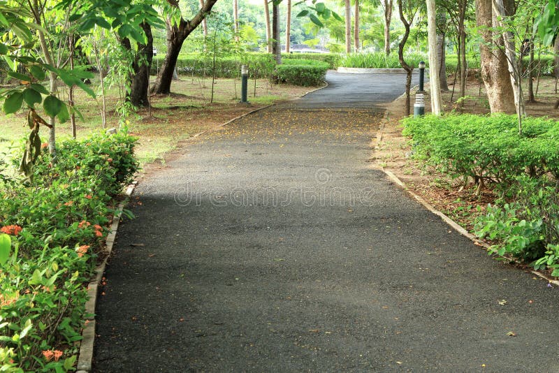 Path in green summer park stock photo. Image of sweden - 46518296