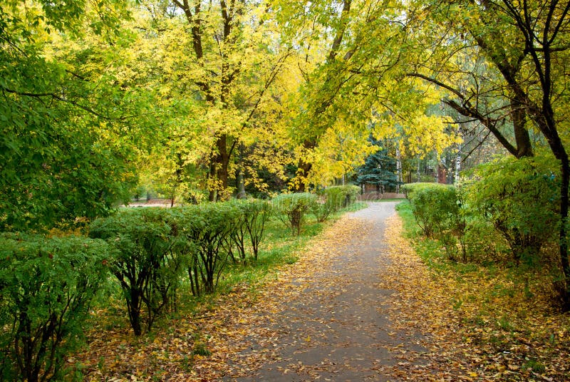 Walking path in Park stock image. Image of autumn, tree - 30718709