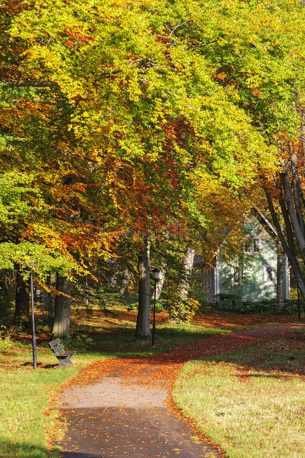 Walking path stock image. Image of path, branch, pathway - 14692709