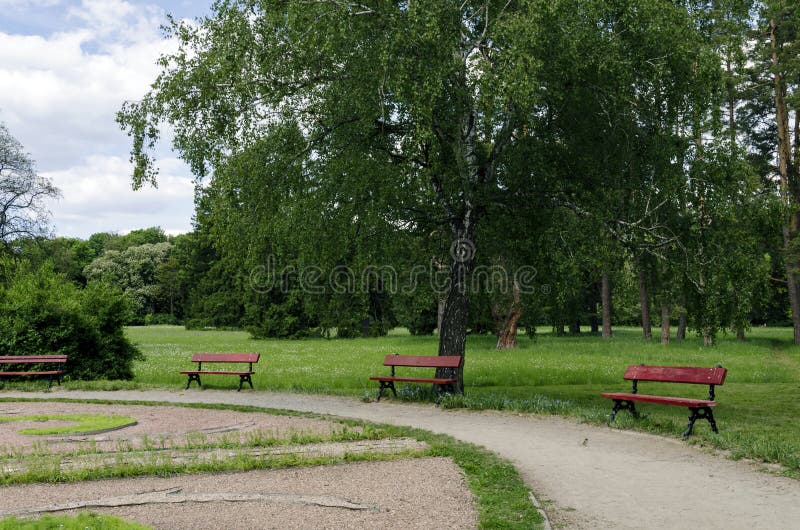 Walking Paths in the Park, Benches for Rest, and Green Trees Stock ...