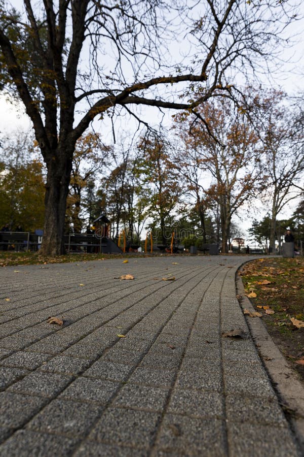 Walking path in the park stock image. Image of nature - 234790531