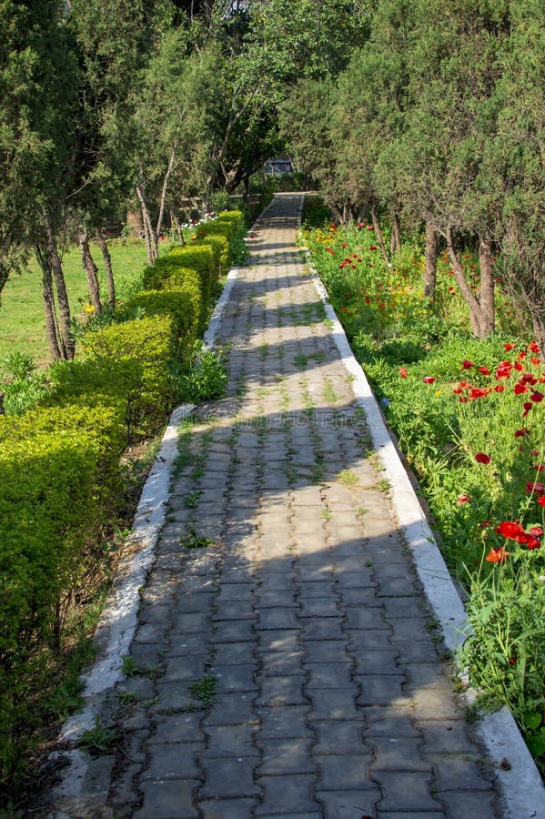 Walking Path in Park with Green Trees Stock Photo - Image of healthy ...