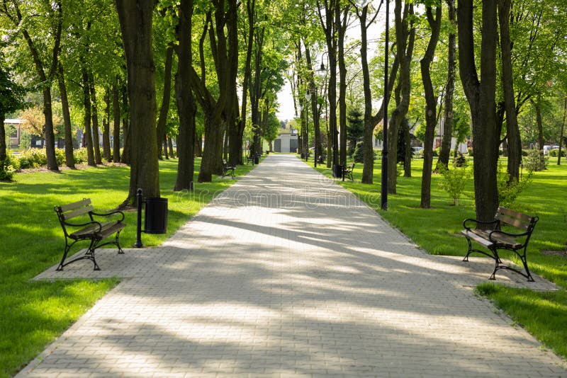 Walking Path in the Park. Spring Blooming Park. Stock Photo - Image of ...