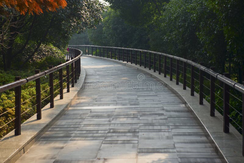 Walking a Path through the Trees in Central Park, New York City Stock ...