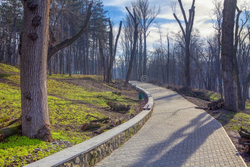 Walking path in the park stock photo. Image of foliage - 136845500