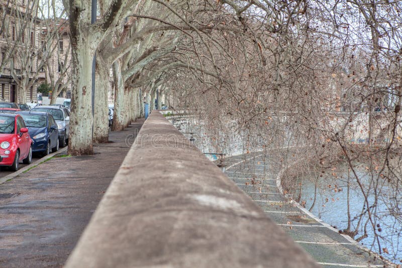 Walking Path on the Riverside Stock Image - Image of italy ...