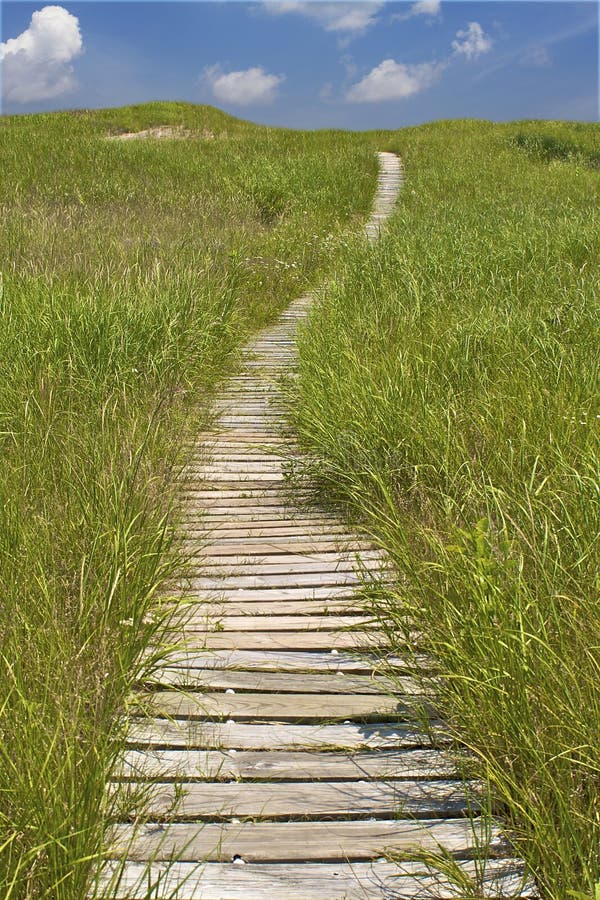 Walking Path through the Sand Dunes Stock Photo - Image of trail, beach ...