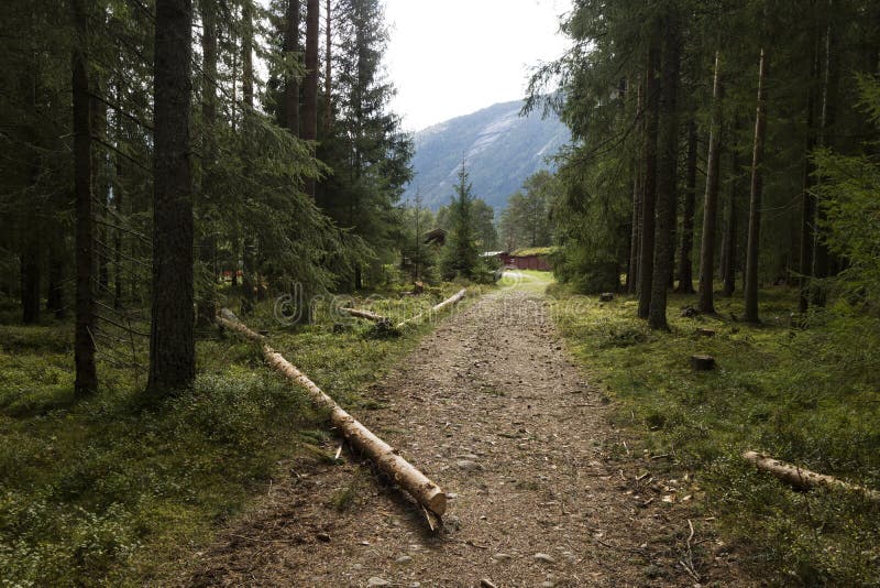 Walking Path in the Setesdal, Norway Stock Image - Image of path ...