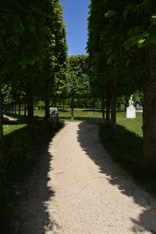 Walking Path with Shadow of Trees in Park Stock Photo - Image of estate ...