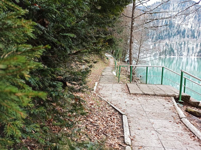 Walking Path on the Shore of a Green Lake Stock Image - Image of leaf ...