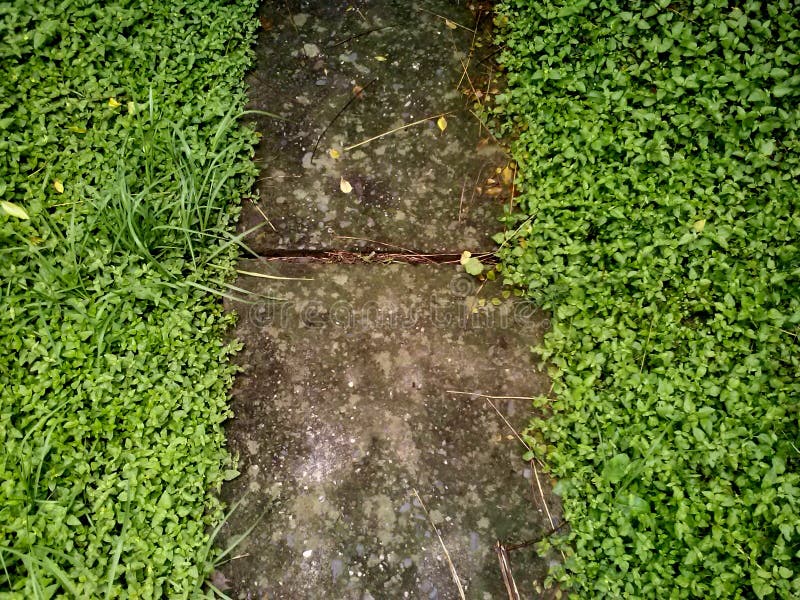Walking path stock photo. Image of grass, concrete, green - 92198370