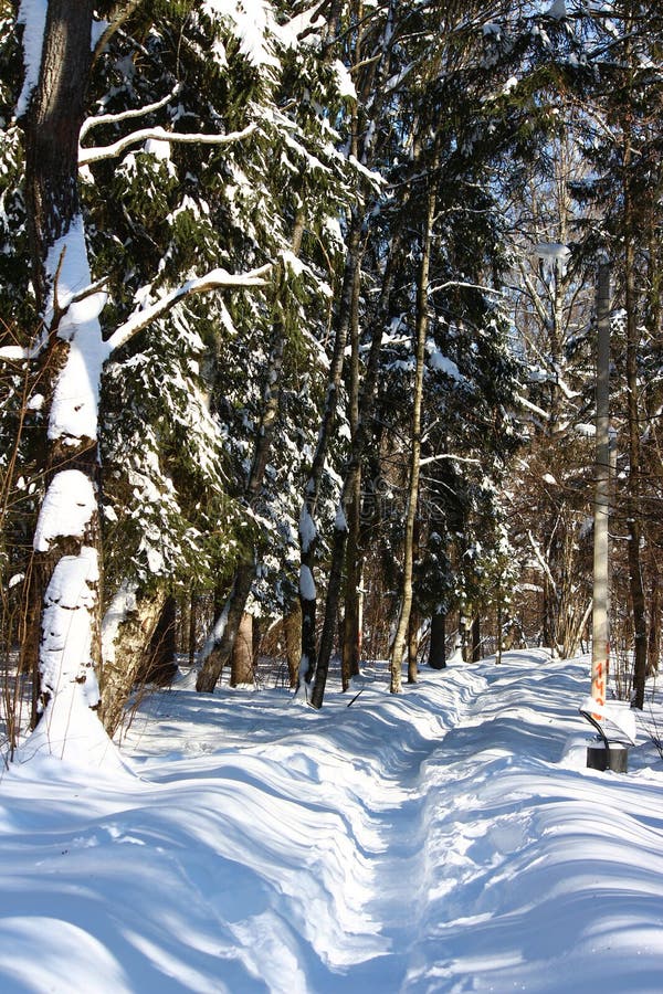 Walking Path through a Snow-covered Park in Winter Stock Image - Image ...