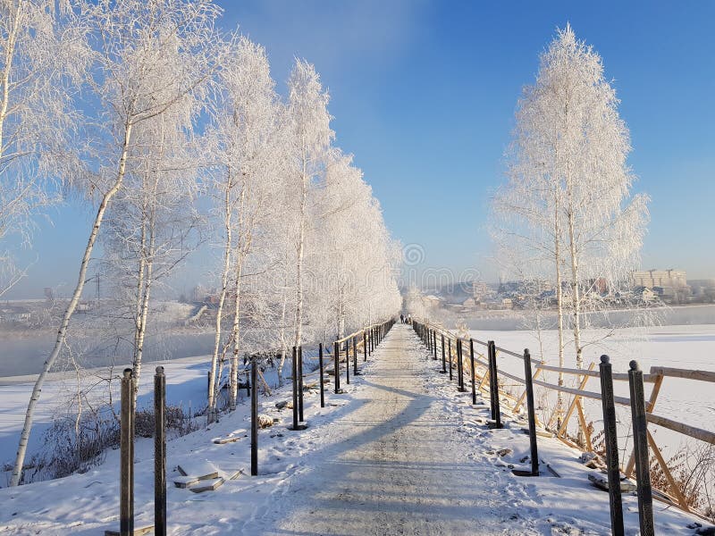 Walking Path among Snow-covered Trees Stock Photo - Image of cold ...