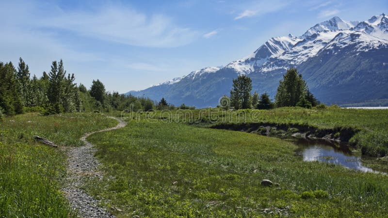 Walking Path in Southeast Alaska Stock Photo - Image of green, creek ...