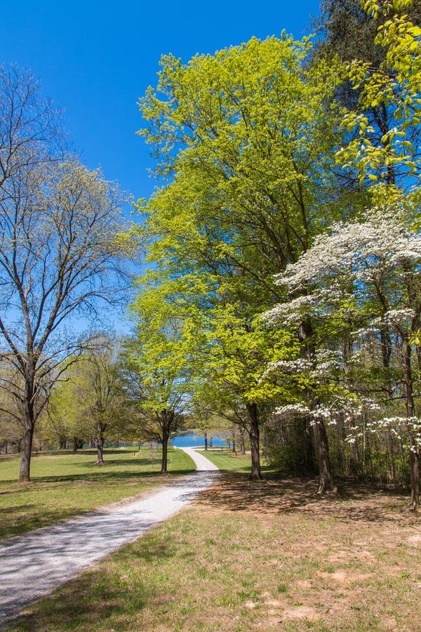 Walking Path in Spring Park. Natural Landscape. Stock Photo - Image of ...