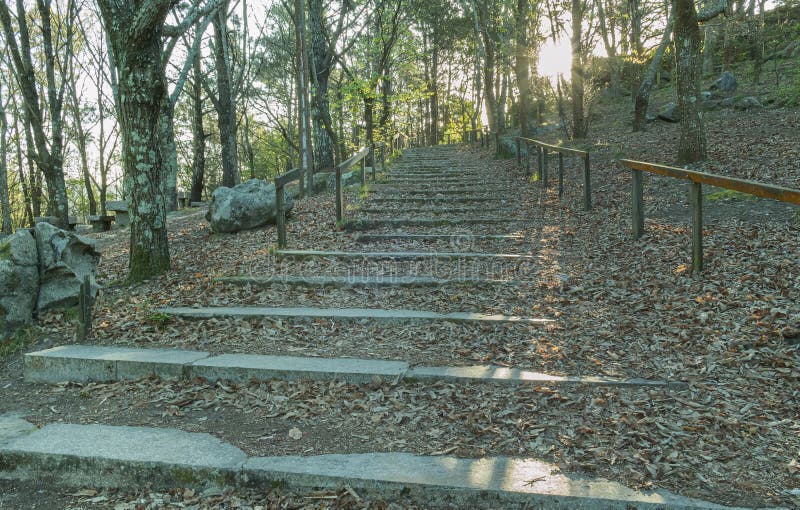 Walking Path with Stairs and Leaves in Autumn Stock Photo - Image of ...