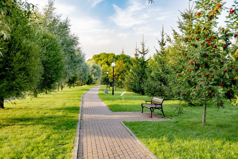 Walking Path in the Summer Park on a Clear Sunny Day Stock Photo ...