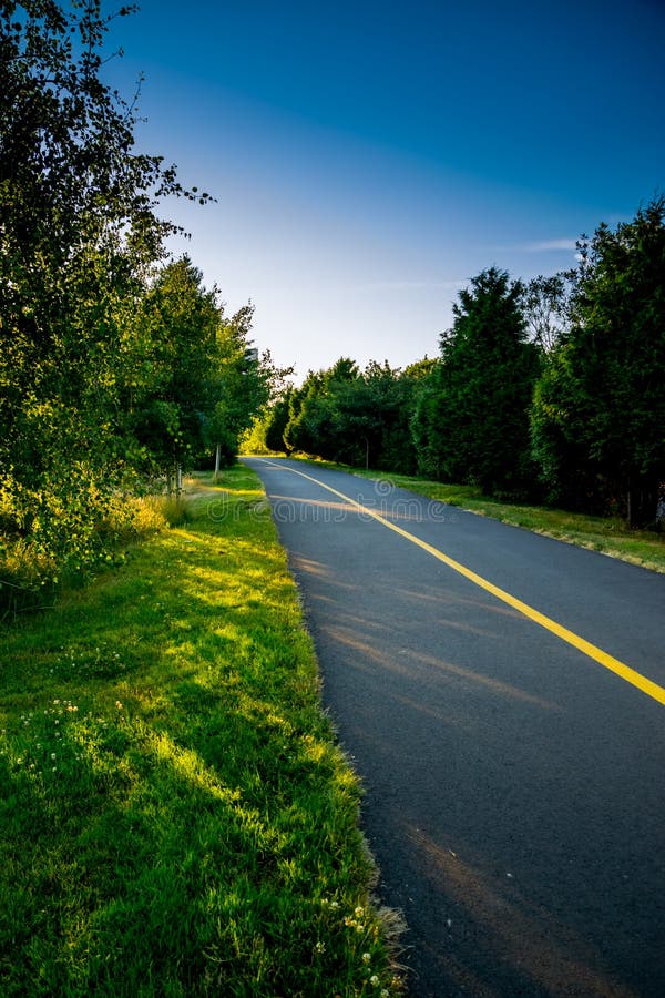 Walking Path stock photo. Image of light, highlight, trees - 32256118