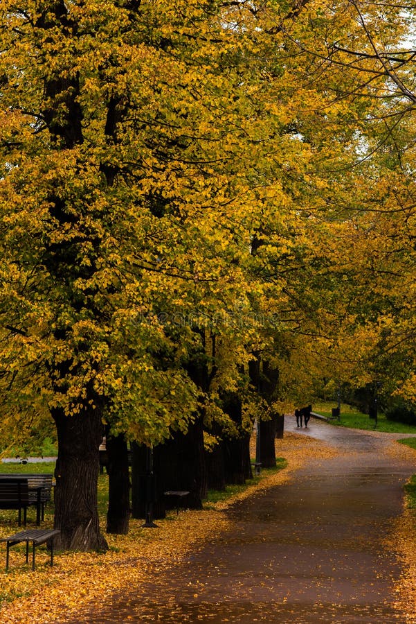 Walking Path Surrounded by Trees in the Park Letna in Prague, Czech ...