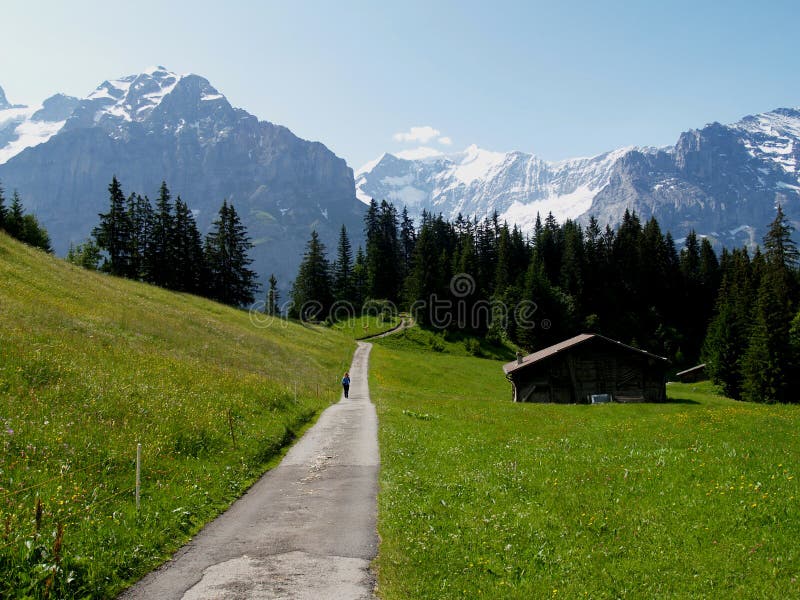 Walking Path into the Swiss Alps Stock Image - Image of hills, footpath ...