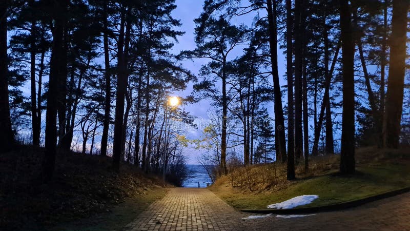 The Walking Path To the Sea between Dunes is Illuminated by Lantern in ...